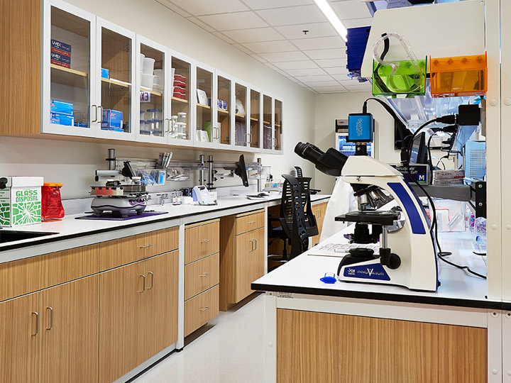 我们的成功之路- Medline - manbetx投注app,manbet平台,manbet客户端2.0